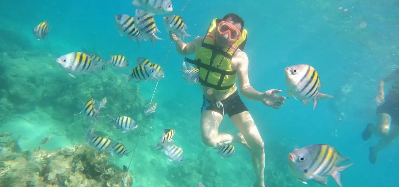 Playa Tranquila VIP + Snorkel + Mapaches (Bus) - Turist Angel - Tours ...